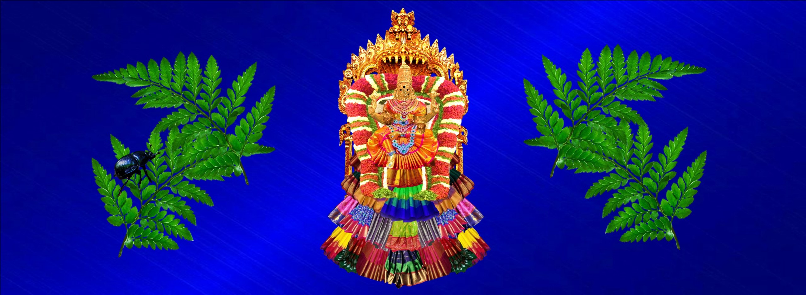 Navaratri Vastra Alankaram – Sri Siva Vishnu Temple
